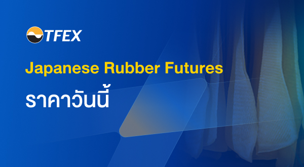 ข้อมูลการซื้อขายวันนี้ Japanese Rubber Futures - JRFK24 - TFEX : Thailand Futures Exchange
