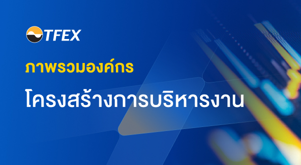 โครงสร้างการบริหารงาน - TFEX : Thailand Futures Exchange
