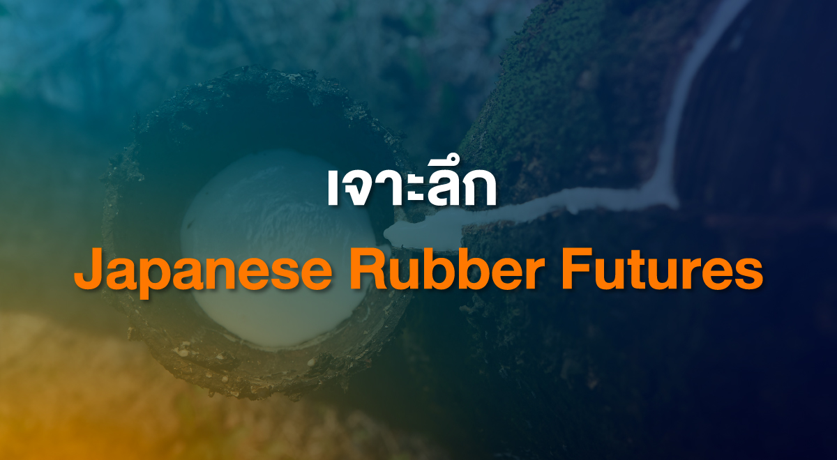 เจาะลึก Japanese Rubber Futures - TFEX : Thailand Futures Exchange